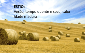 Estio | Palavra do Dia